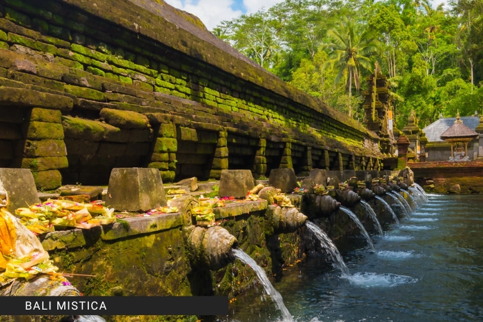 Bali Misitca e i poteri del Rerajahan Tour - Last Paradise